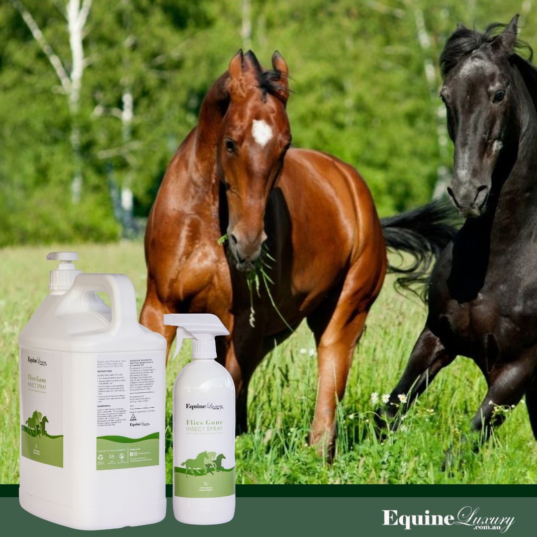 NATURAL HORSE CARE – equineluxury.com.au